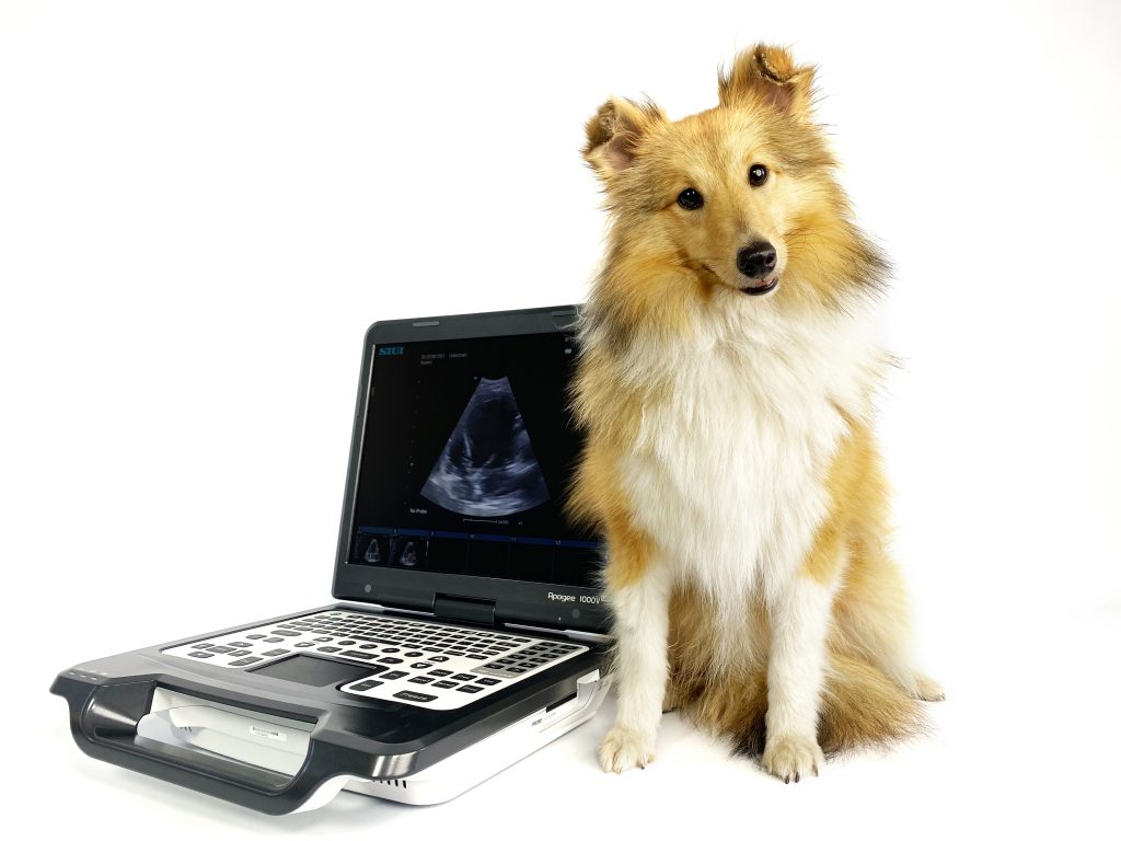 Ultrasound Machines | ScanX Ultrasound