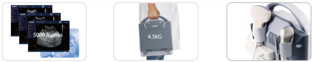 KX5600v for Snake and Reptile Scanning – ScanX Ultrasound