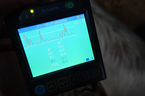 Demystifying Ultrasound Modes: Your Comprehensive Guide – ScanX Ultrasound